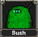 Bush